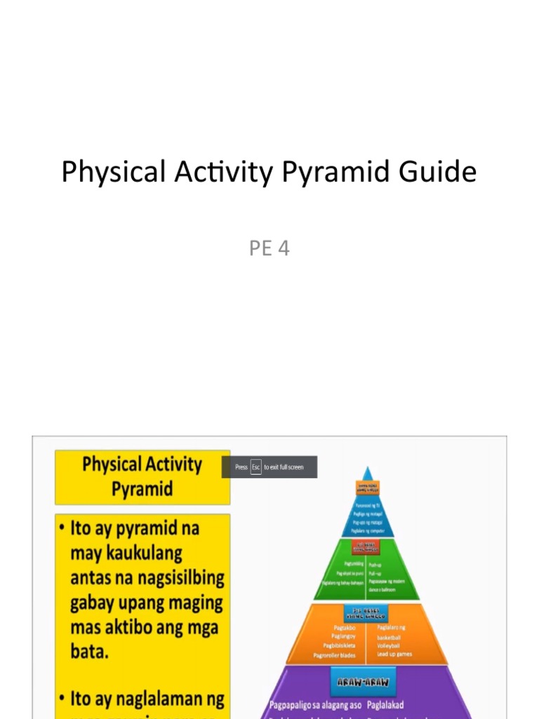 Physical Activity Pyramid Guide | PDF