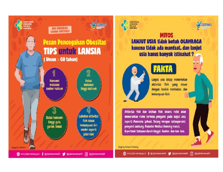 Lansia Leaflet | PDF