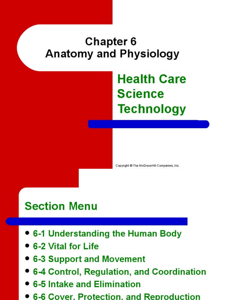 Chapter 06 Anatomy and Physiology | PDF | Human Digestive System ...