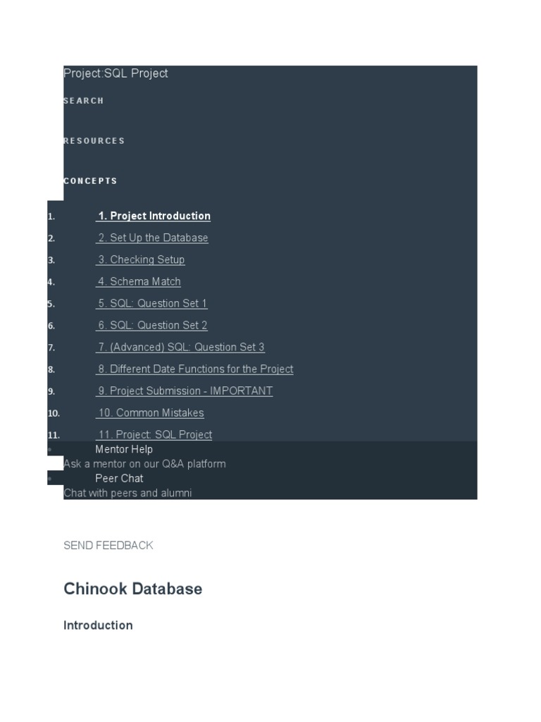 Project Introduction: Chinook Database | PDF | Databases | Sql