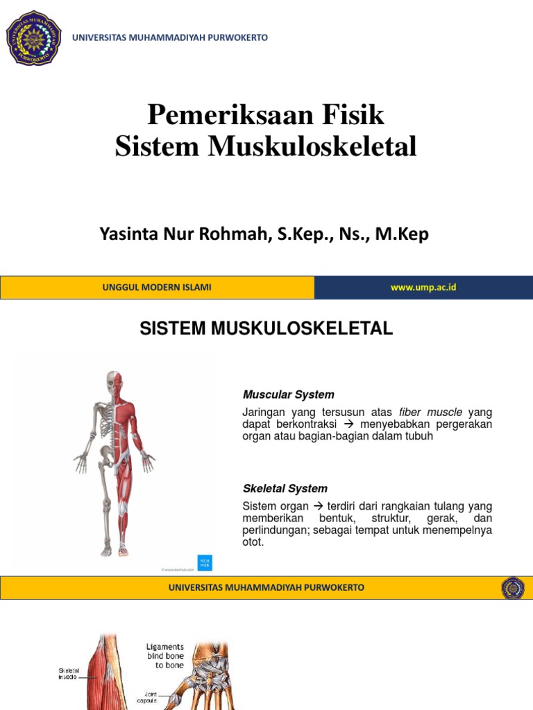 Pemeriksaan Sistem Muskuloskeletal | PDF