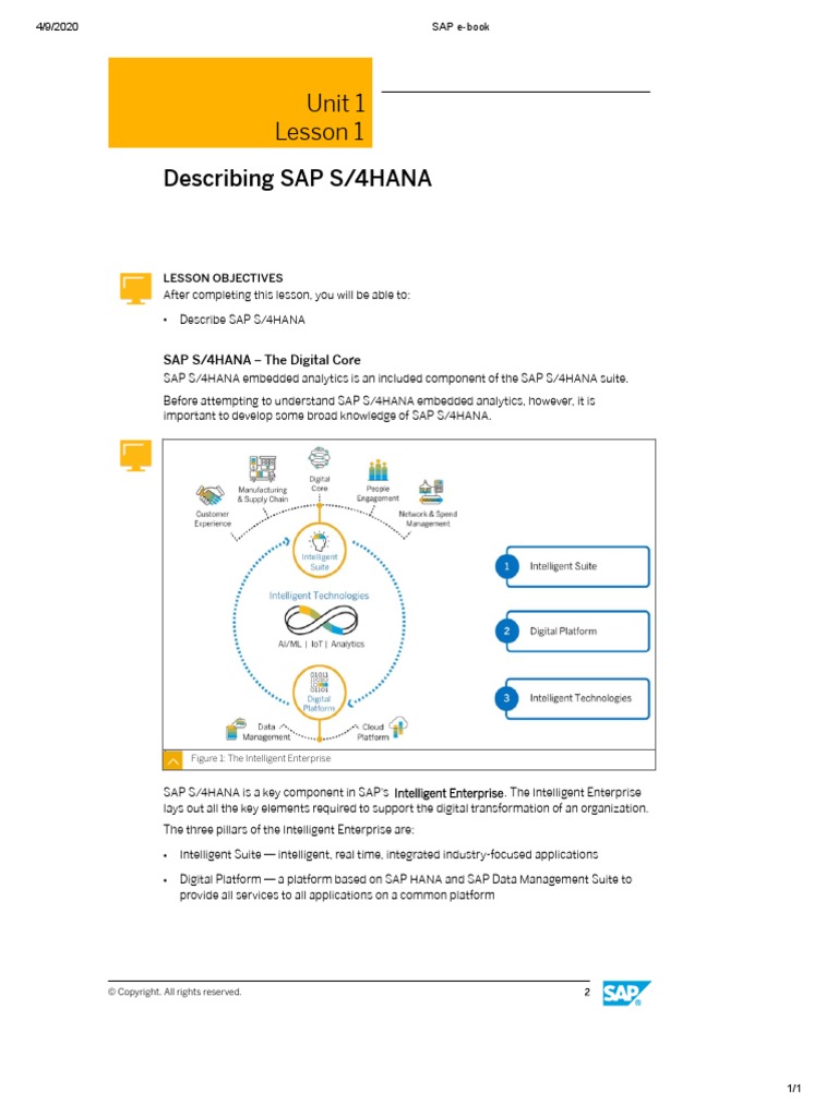 Unit 1 Lesson 1: Describing SAP S/4HANA | PDF