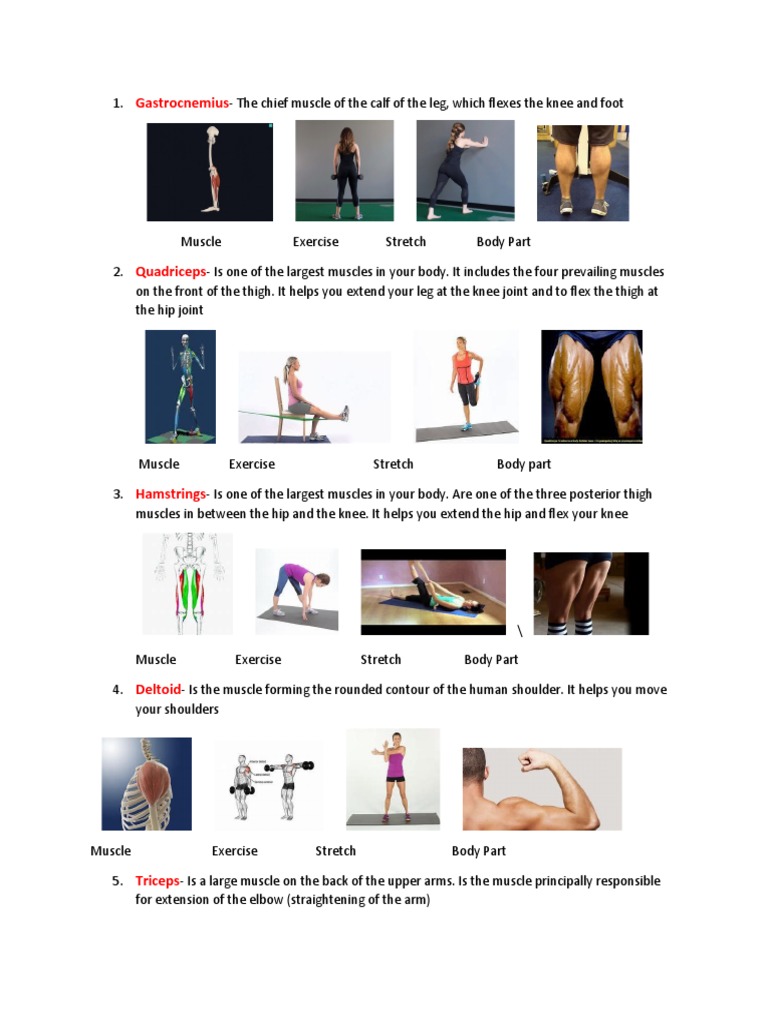 Anatomy 7 | PDF | Wellness | Science & Mathematics