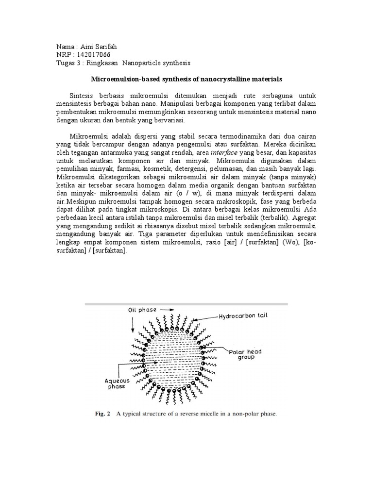 Tugas Nano - Synthesis Microemulsion | PDF