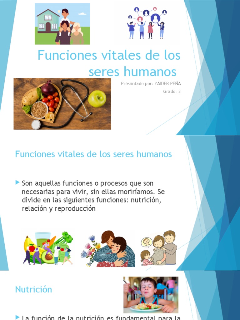 Funciones Vitales de Los Seres Vivo | PDF
