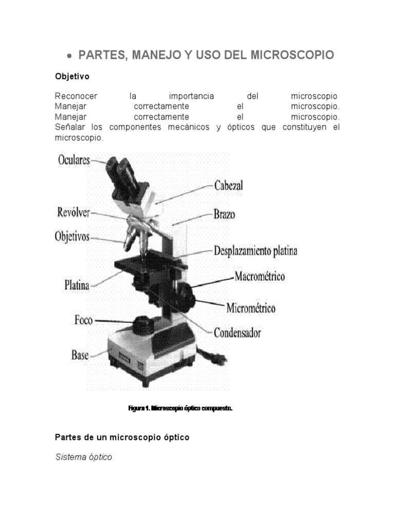 Partes Del Microscopio | PDF