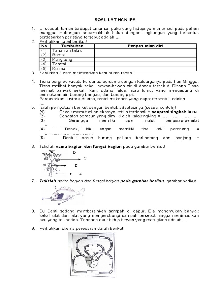 Soal Latihan Ipa | PDF | Kajian Bahasa Asing | Sains & Matematika