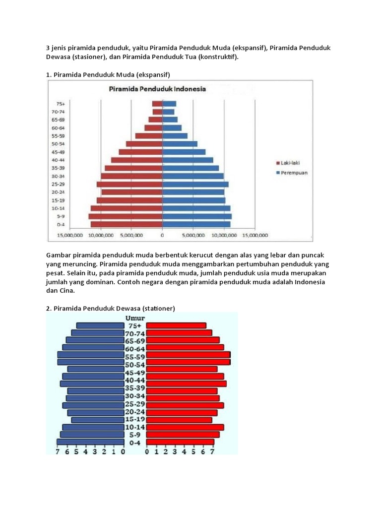 3 Jenis Piramida Penduduk | PDF