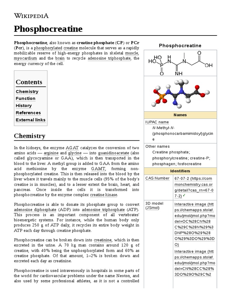 Phosphocreatine: Phosphocreatine, Also Known As Creatine Phosphate (CP ...
