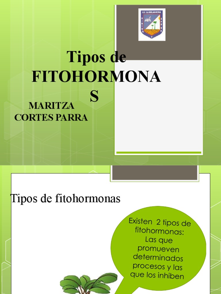 Fitohormonas 8IELM | PDF | Hormona Vegetal | Auxina