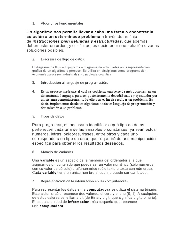 Algoritmos Fundamentales | PDF | Compilador | Programa de computadora