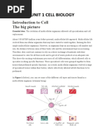 IB Biology IA Score Sheet 2025 | PDF | Methodology | Statistics
