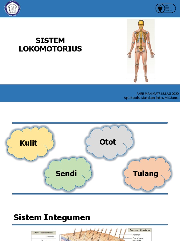 Struktur dan Fungsi Sistem Lokomotor | PDF