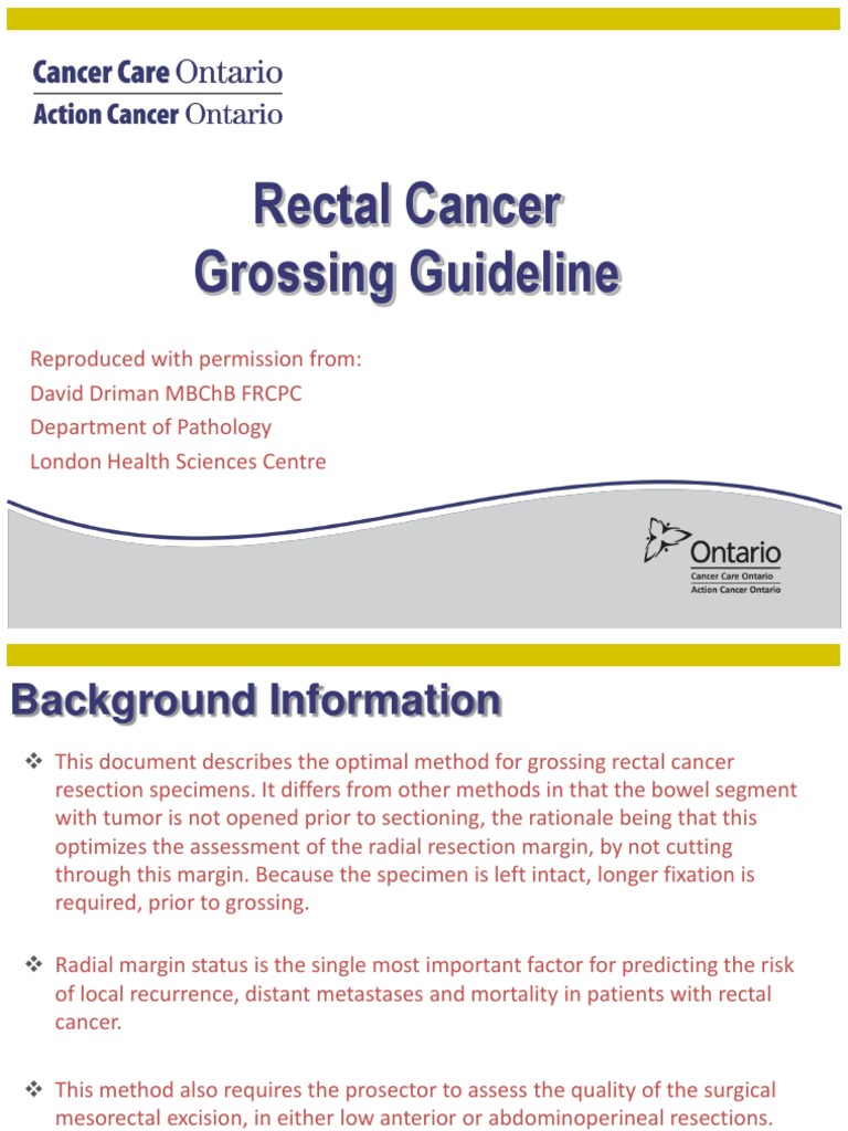 Grossing Guidelines for Rectal Cancer | PDF | Colorectal Cancer ...