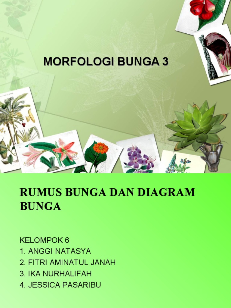 Morfologi Bunga 3 | PDF