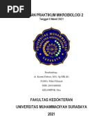 Sirupus Simplex | PDF