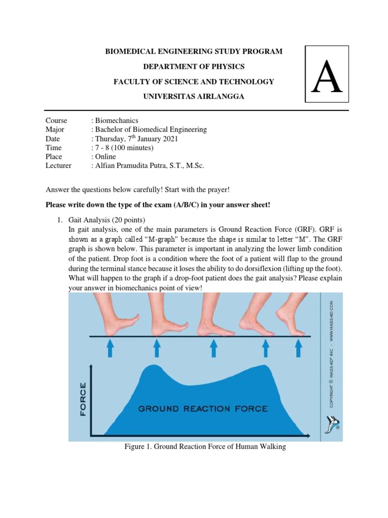 Biomechanics Final Exam Type A | PDF | Biomechanics | Percutaneous ...