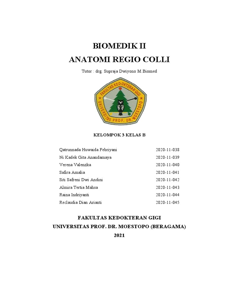 Anatomi Regio Colli: Struktur dan Fungsi | PDF | Kesehatan Holistik ...