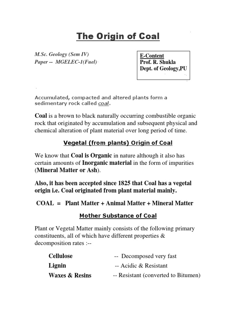 The Process of Coal Formation: Exploring the Vegetal Origin and ...