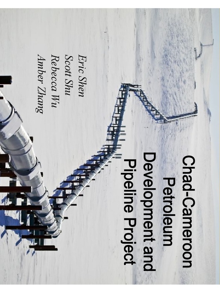 Chad Cameroon Petroleum Development and | PDF | Project Finance | Debt