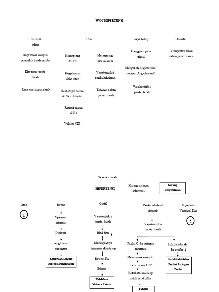 Woc Hipertensi | PDF