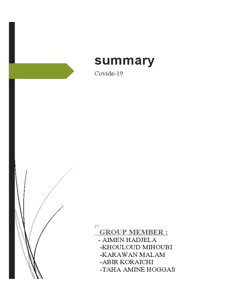 English Sommary | PDF | Public Health | Health Care