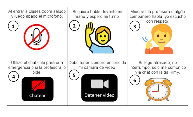 Normas para Clases Virtuales en Zoom | PDF