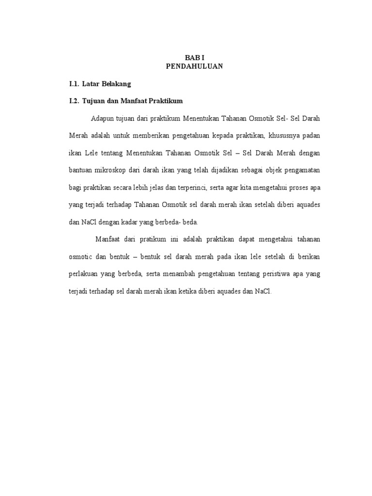 Laporan Fiswan 2 Fix | PDF