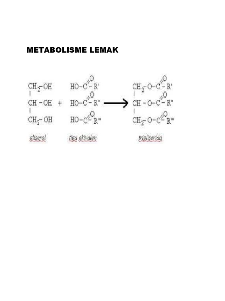 Metabolisme Lemak | PDF