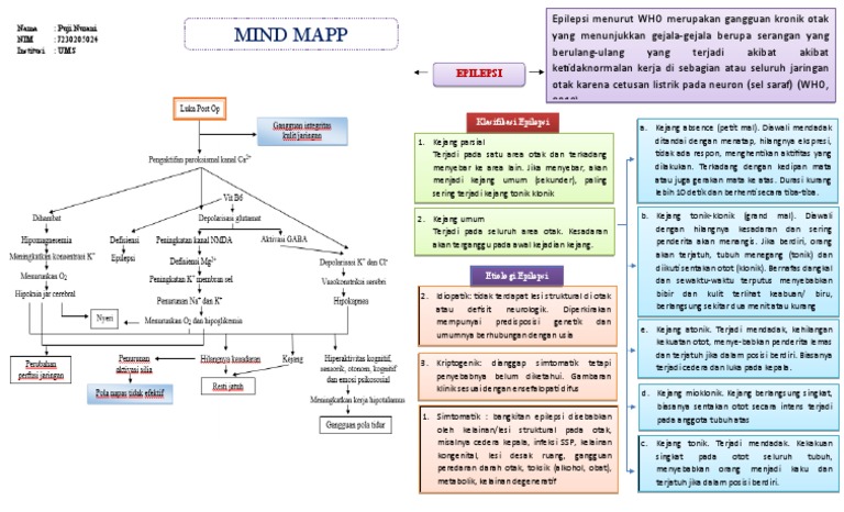 Mindmap Epilepsi | PDF