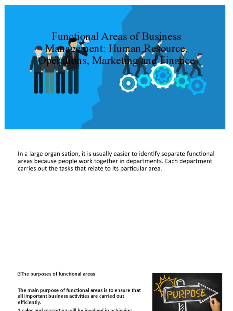 Overview of Business Functional Areas | PDF | Human Resources | Employment