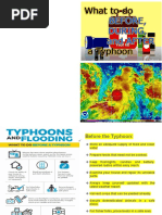 Typhoon Preparedness Infographics | PDF