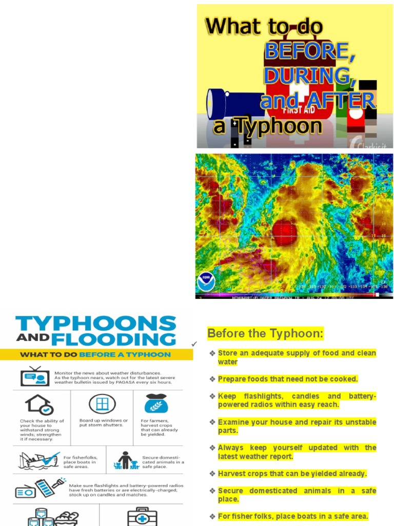 Typhoon Preparedness Guide | PDF