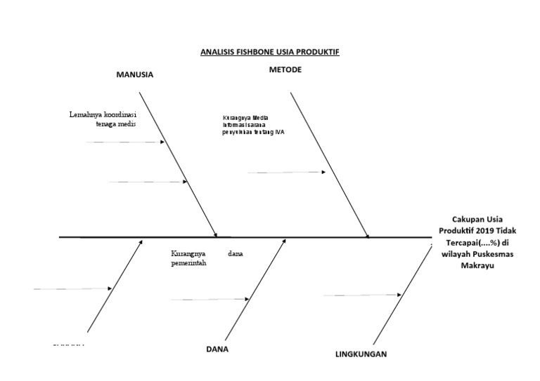 Analisis Fishbone Usia Produktif Puskesmas Makrayu | PDF