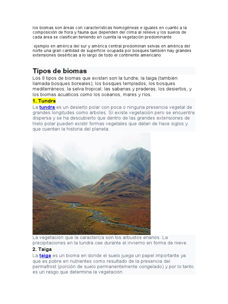 Biomas | PDF | Desierto | Selva