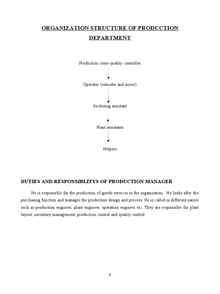 PROJECT REPORT 1 - Production Dept - Structure | PDF