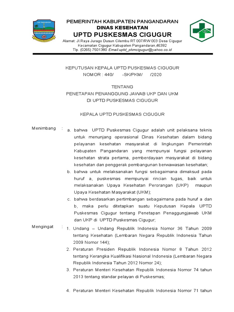 SK Penanggung Jawab Ukp Dan Ukm 2020 | PDF | Kesehatan Holistik