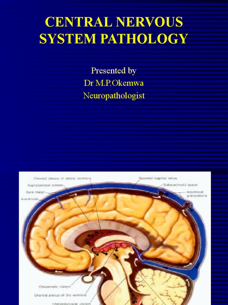 Central Nervous System Pathology: Presented by | PDF | Meningitis | Hiv