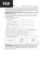 Drawing the Phases of Mitosis | PDF