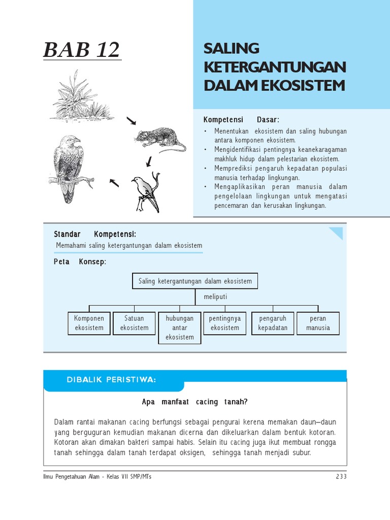 13 BAB-12-BIO-rev | PDF