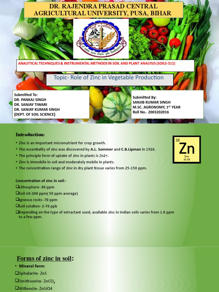 Role of Zinc in Vegetable Production | PDF | Zinc | Soil