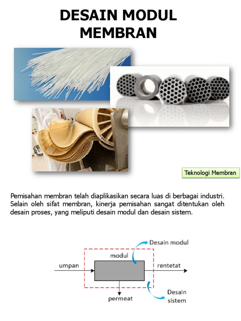 Desain Modul Membran untuk Industri | PDF