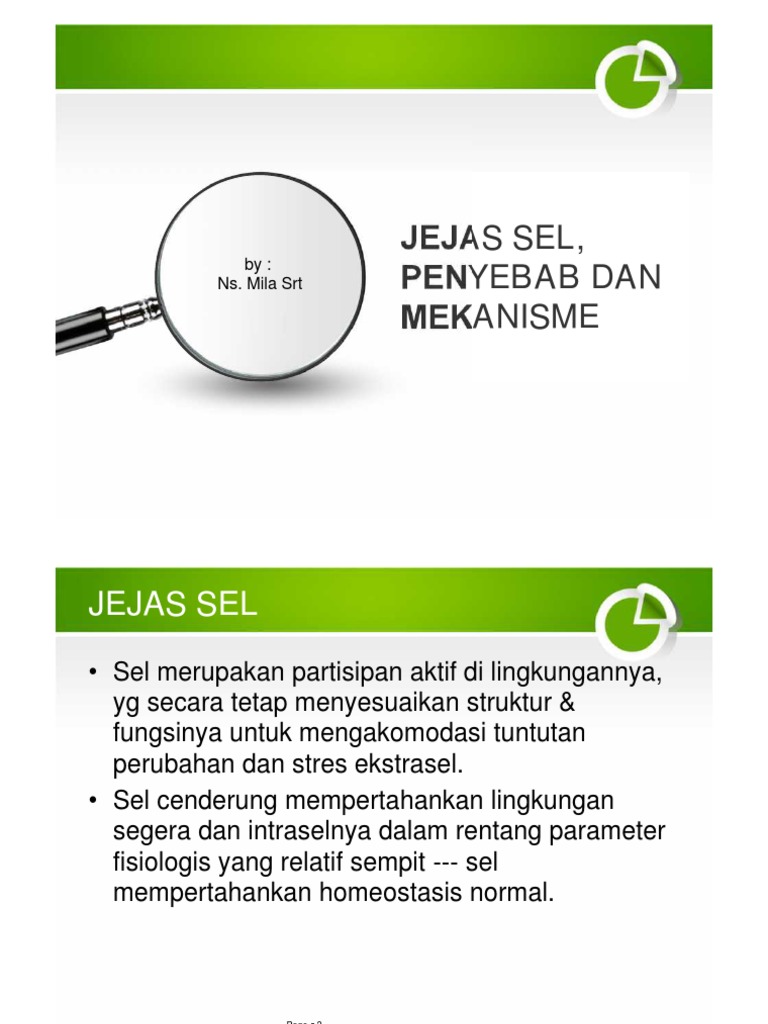 Jejas Sel | PDF