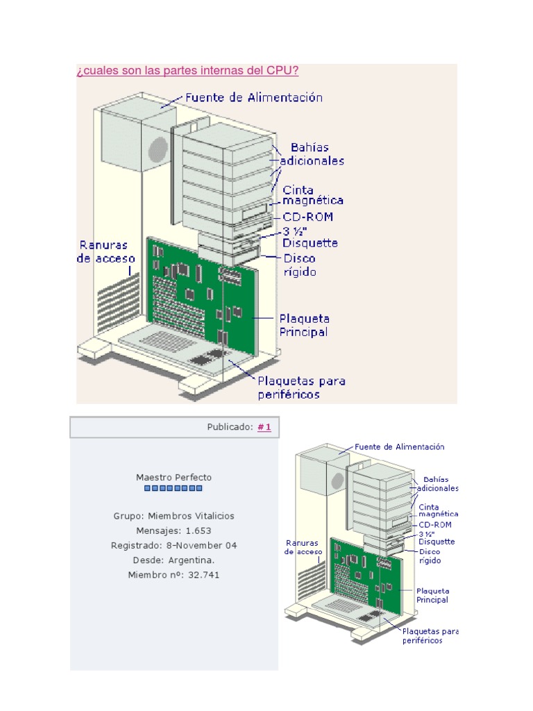 Cuales Son Las Partes Internas Del CPU | PDF | Disco duro | Periférico