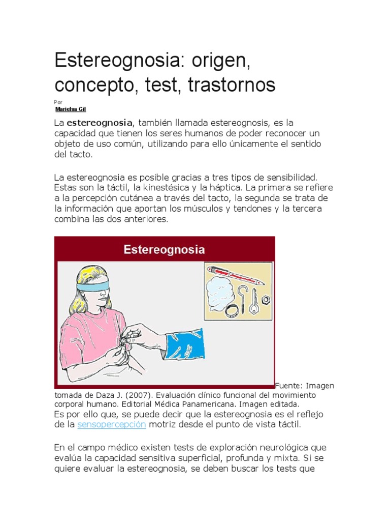 Estereognosia: Definición y Evaluación | PDF | Neurología | Cerebro