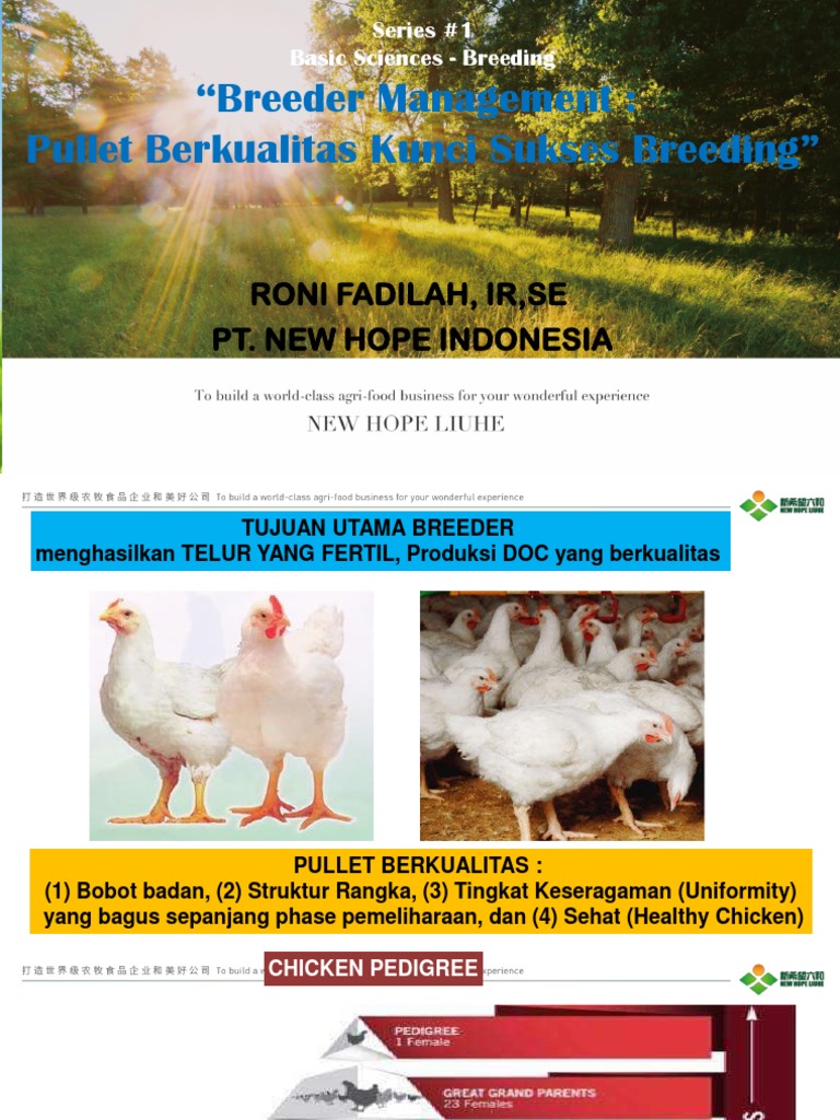 PULLET - Breeding | PDF