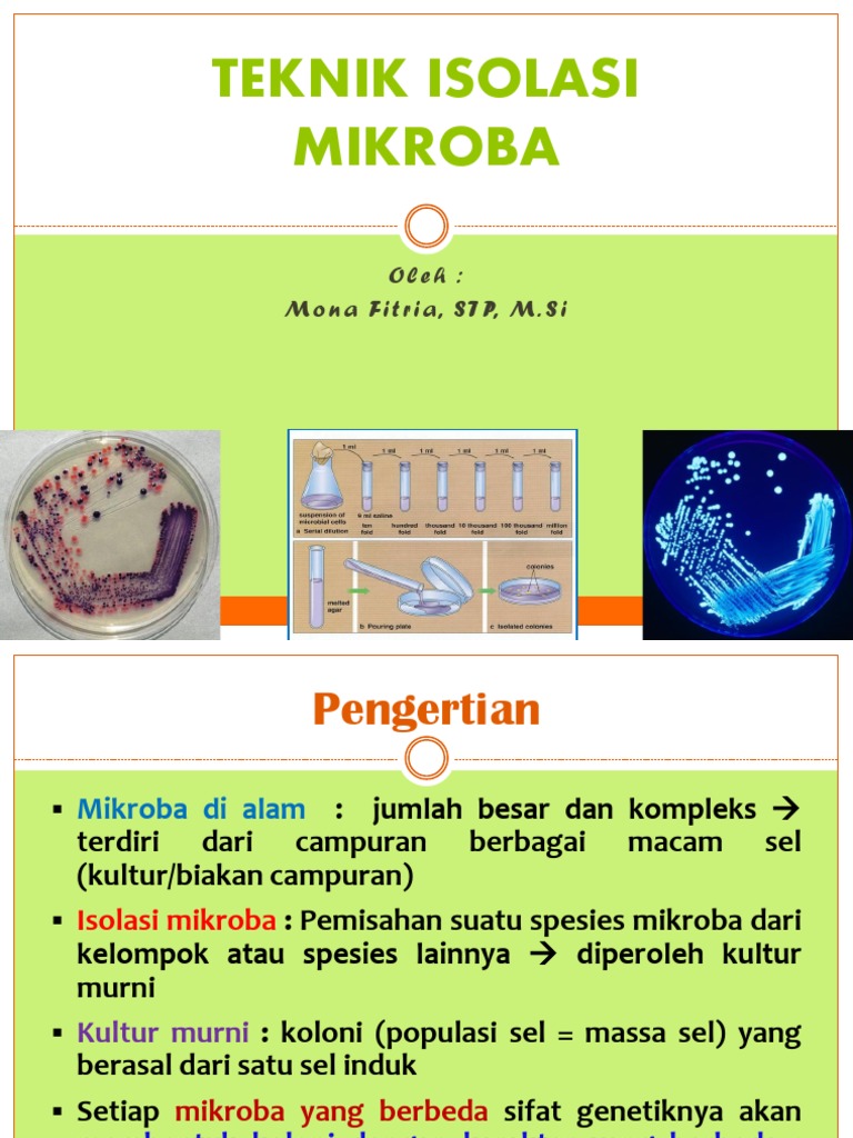 TM 12 - Teknik Isolasi Mikroba (MON) | PDF