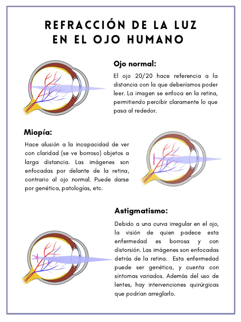 Refracción de La Luz en El Ojo Humano | PDF | Ojo humano | Oftalmología