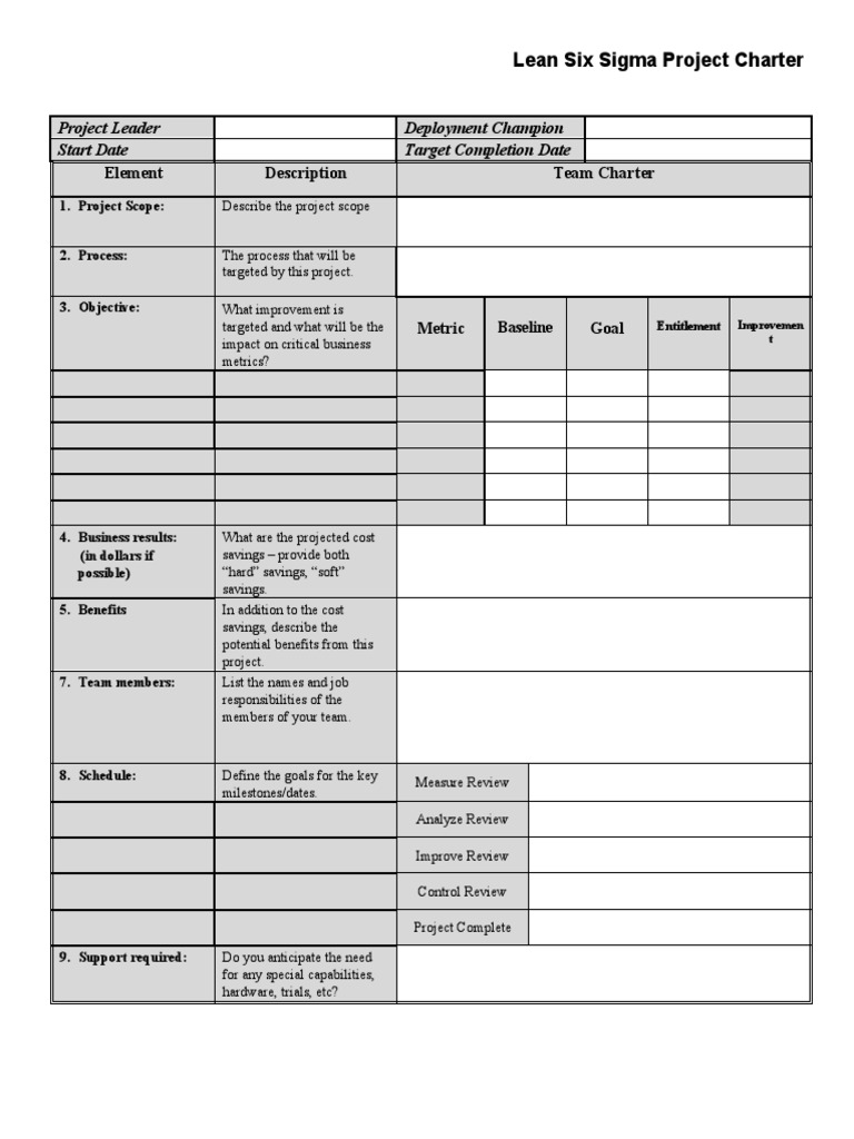 Lean Six Sigma Project Charter Guide | PDF