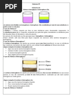Atividade Sobre Misturas e Substâncias (6° Ano) | PDF